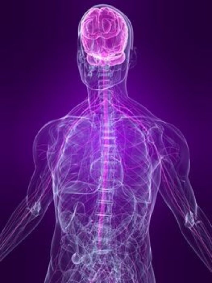 Chill 101 How To Activate The Parasympathetic Nervous System